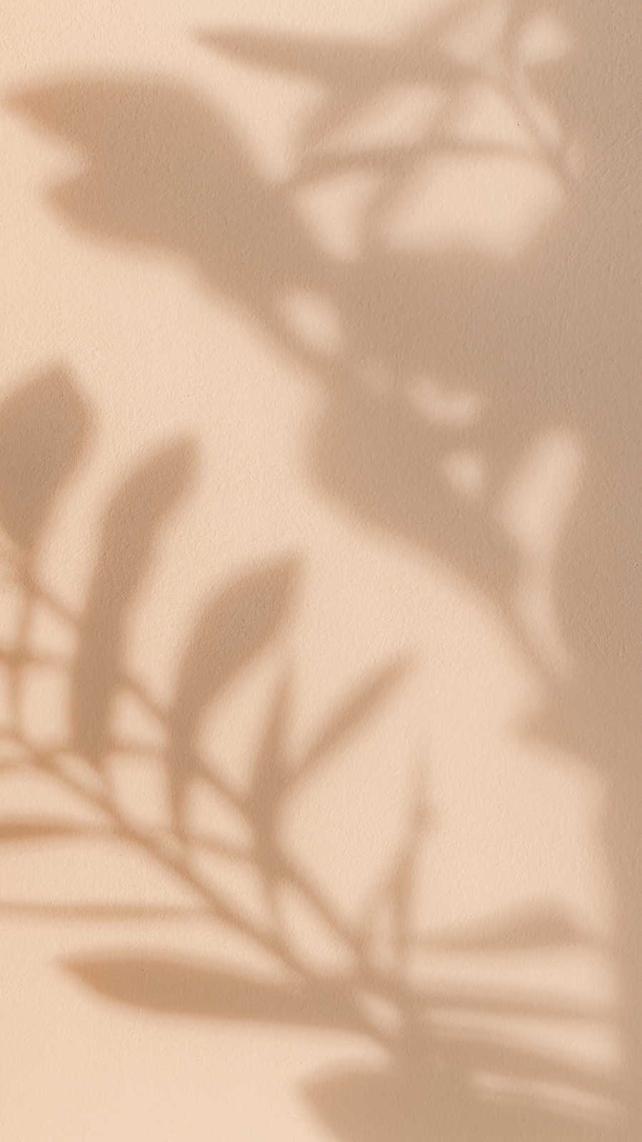 Bijoux en Acier Inoxydable | Élégants, Durables & Résistants à l’Eau